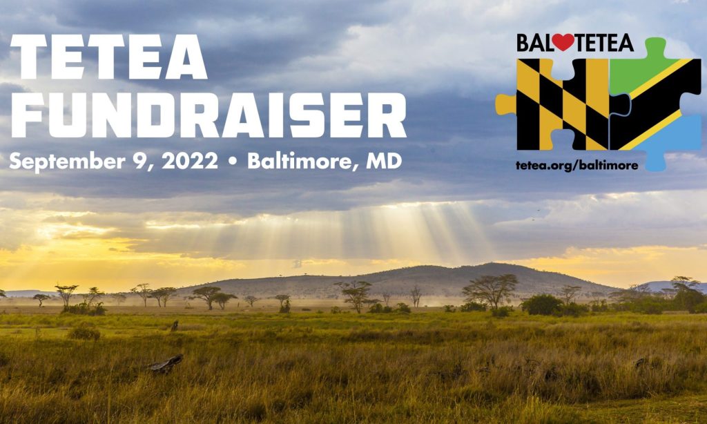 LCC Library – TETEA Inc